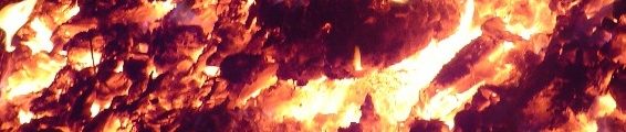 Phoenix Oil Recipe for Healing Heartbreak and PTSD – Zindoki.com